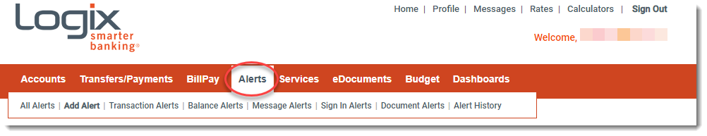 Customizable Text & Email Alerts in Online Banking