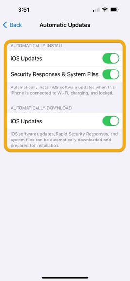 Turn On Automatic Updates