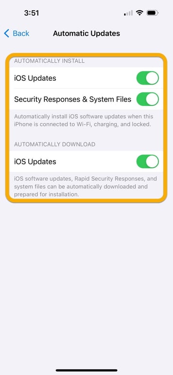 Turn On Automatic Updates